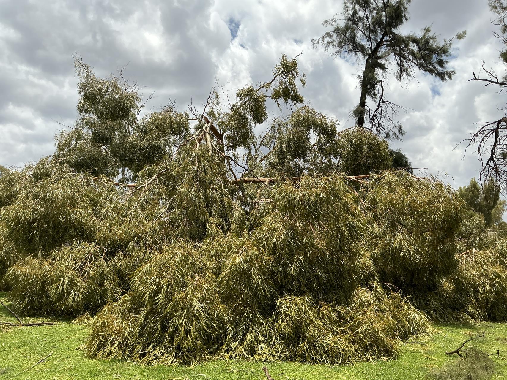 Latest News » Shire of Ashburton